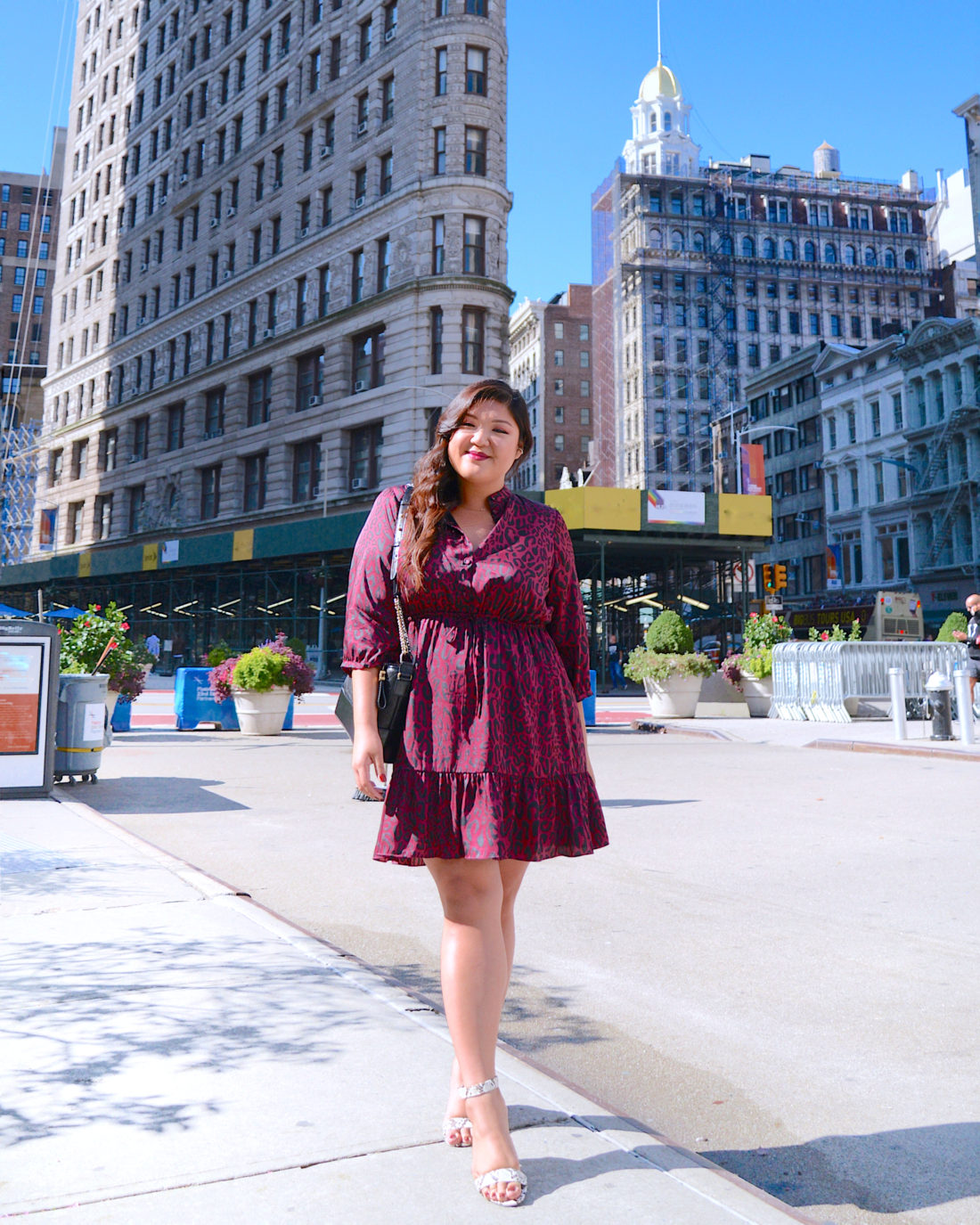 REBECCA MINKOFF X STITCH FIX PLUS SIZES - Curvy Girl Chic